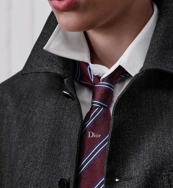 Dior Regimental Tie