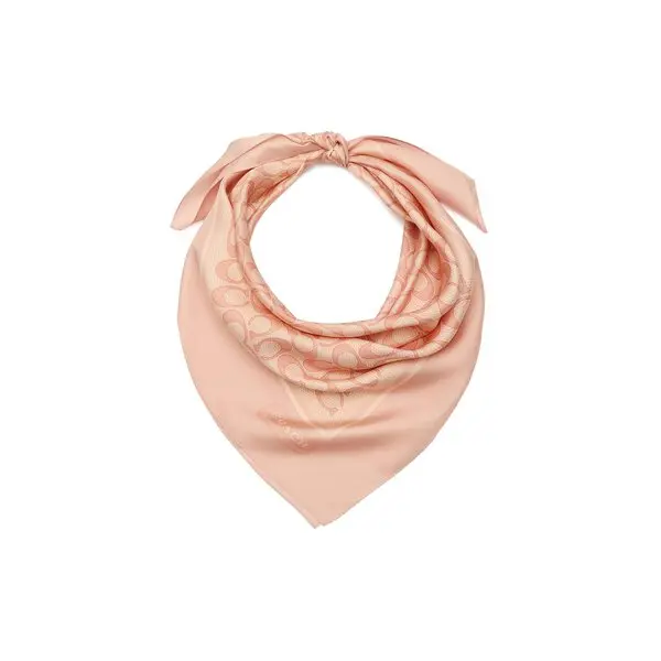 COACH Classic Style Scarf