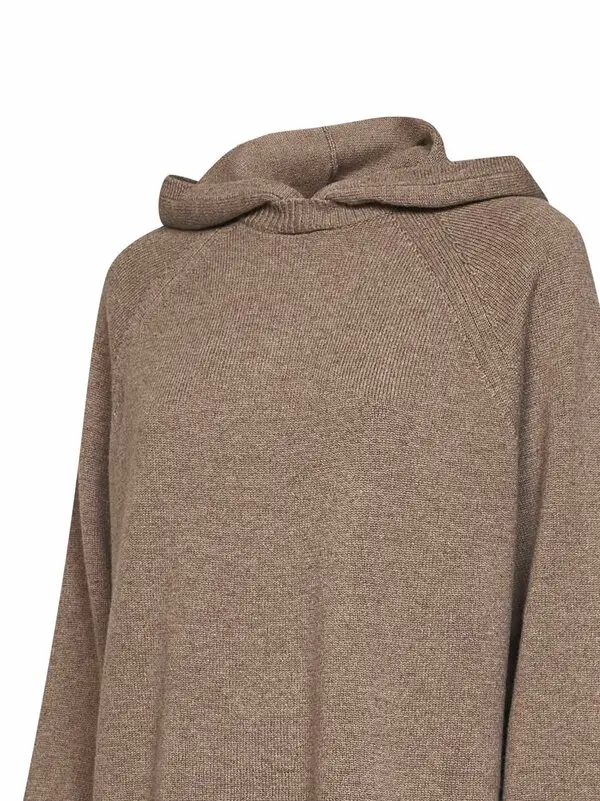 Max Mara Beige Cashmere Knit Mxmefebo Hoodie - Multicolor