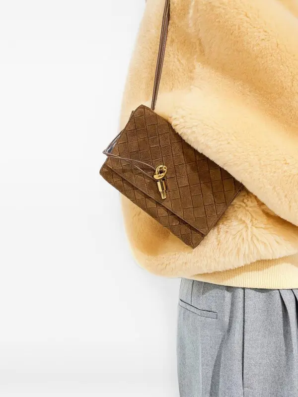 Bottega Veneta Andiamo Leather Mini Bag - Multicolor