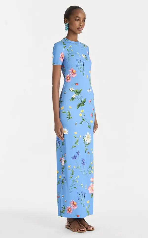 Oscar De La Renta Alpine Meadow Maxi Dress
