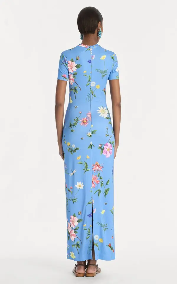 Oscar De La Renta Alpine Meadow Maxi Dress