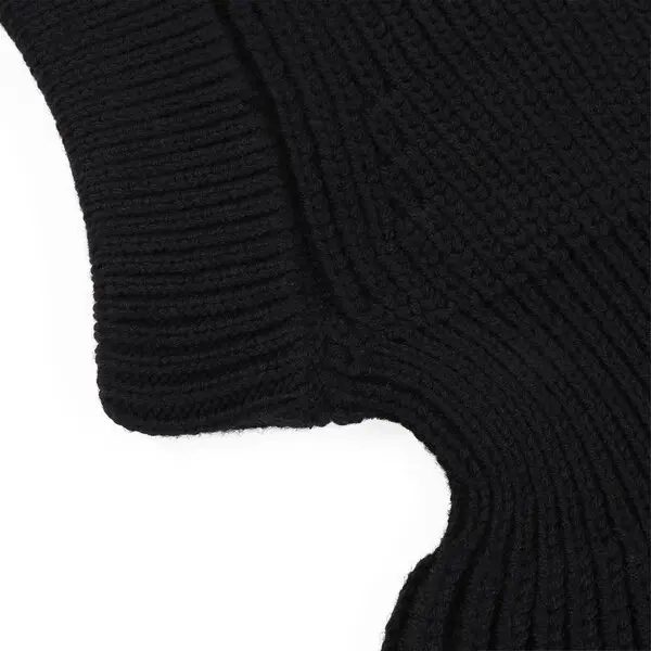 LEMAIRE Hood