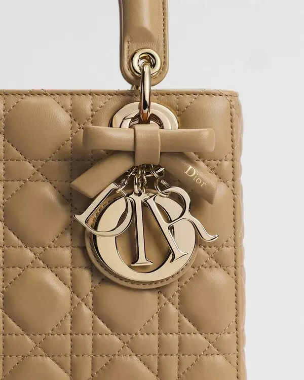 Dior Small Lady Shoulder Bag