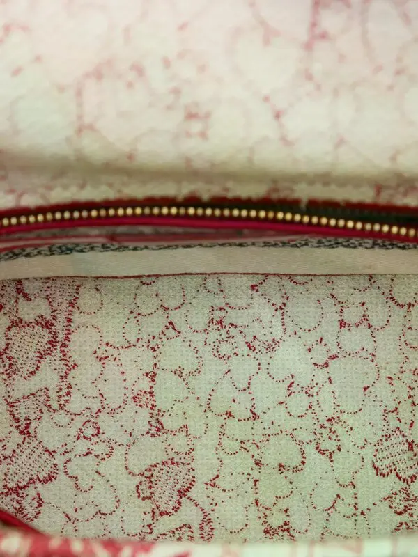 Dior 2021 Dioramour Medium Embroidered Canvas Royale Lady D Lite Satchel - Red