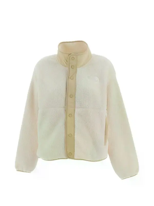The North Face Cragmont Fleece Jacket
