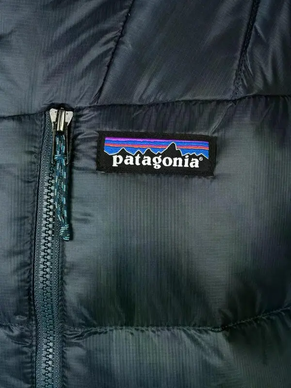 Patagonia Fitz Roy Quilted Hooded Jacket