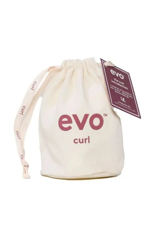 Evo The Curl Mane Introduction