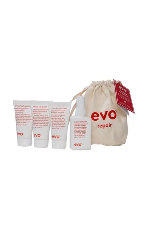 Evo The Repair Mane Introduction