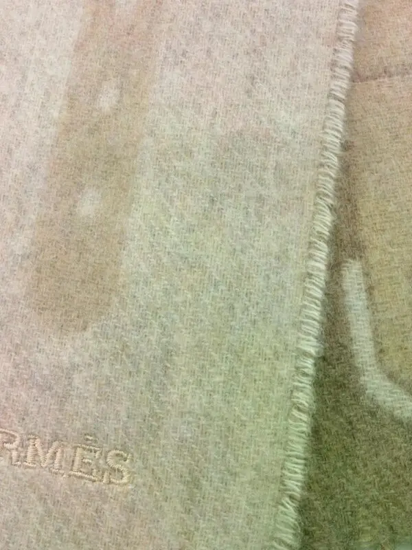 Hermès 2010s Sangles Equestres Scarf