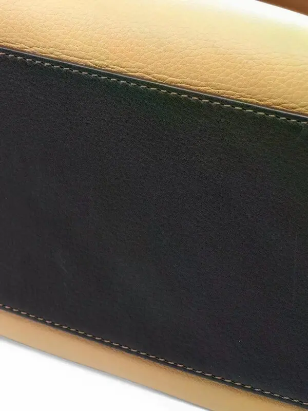 Loewe 2010 Amazona 28 Tote Bag