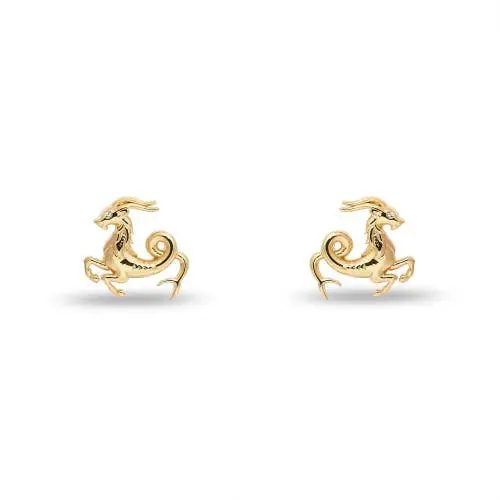 Lele Sadoughi Capricorn Zodiac Stud Earrings