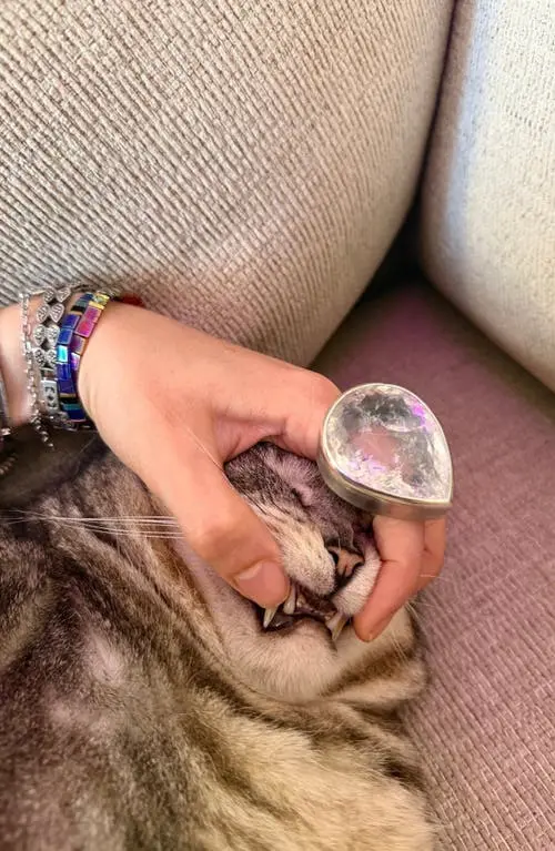 VESPER OBSCURA Pear Mourning Ring In Striated Crystal