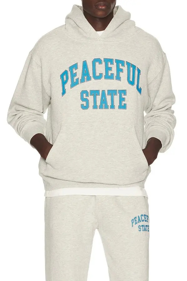 MUSEUM OF PEACE & QUIET Peaceful Hoodie In Grey - Ash