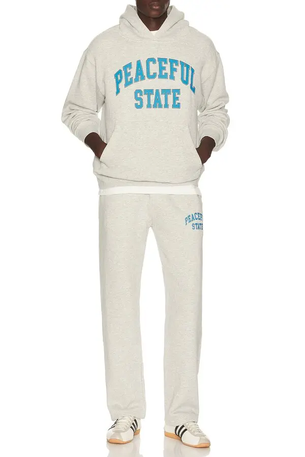 MUSEUM OF PEACE & QUIET Peaceful Hoodie In Grey