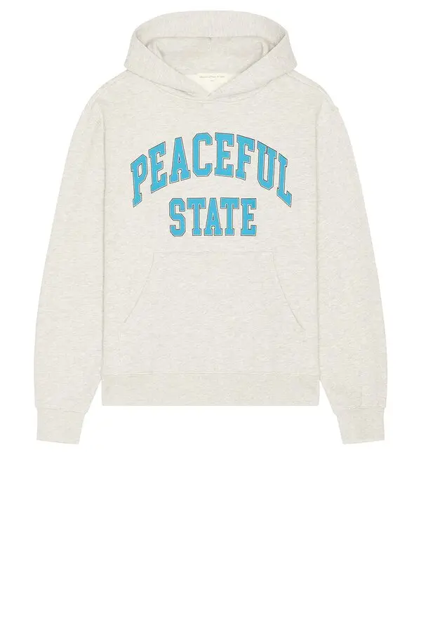 MUSEUM OF PEACE & QUIET Peaceful Hoodie In Grey