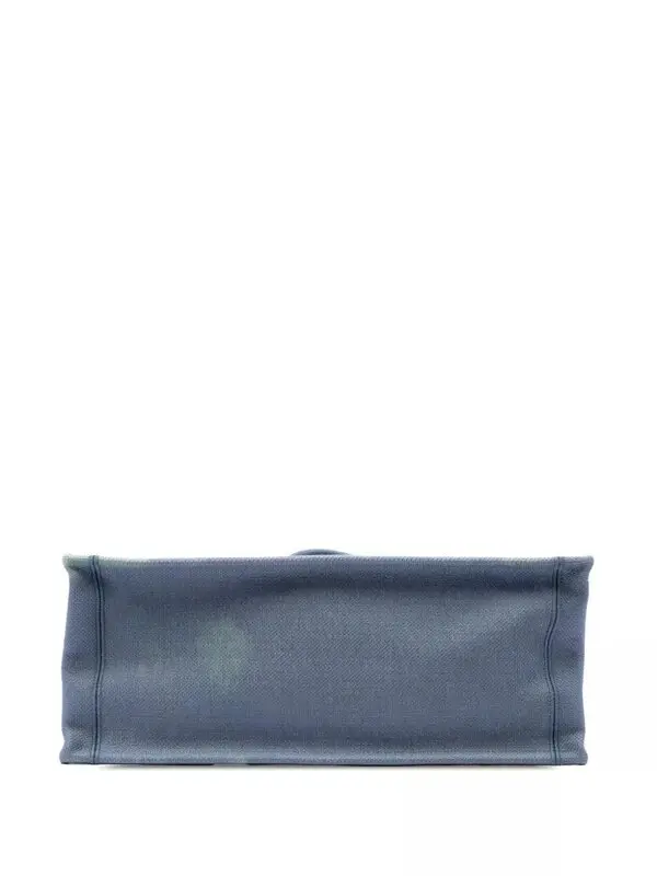 Dior 2025 Large Embroidered Canvas Les Fleurs Du Mal Book Tote Bag - Blue