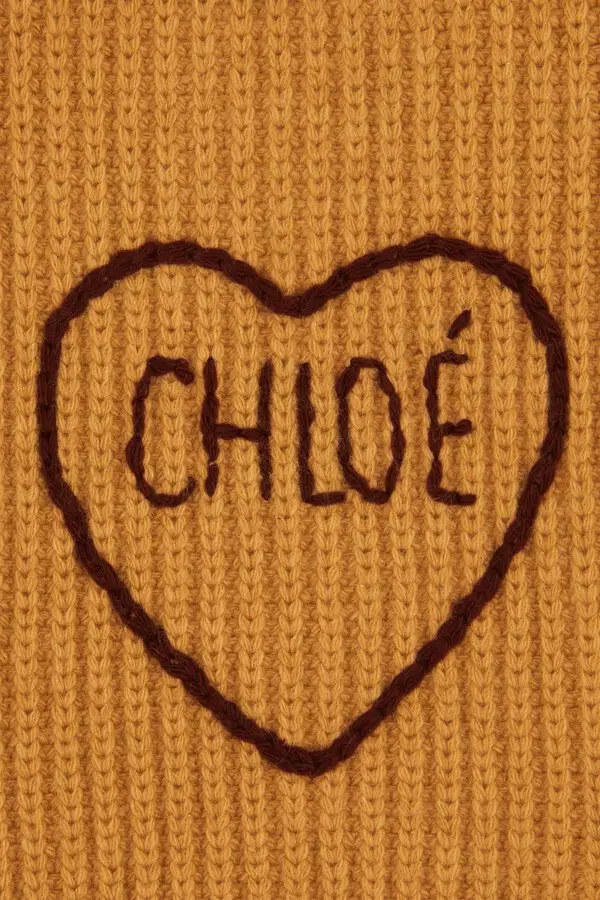 Chloé Accessories Scarves & Shawls