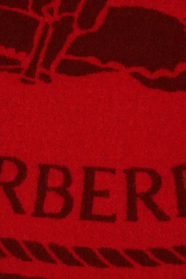 Burberry Accessories Scarves & Shawls