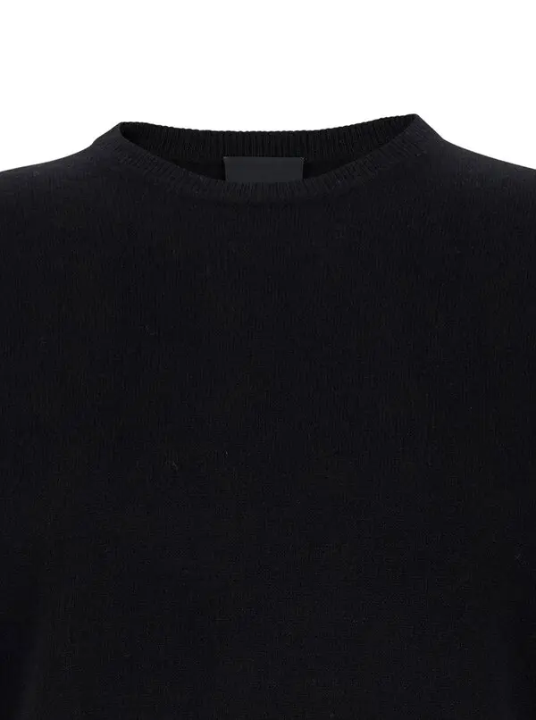 LEPLAIN Crewneck Long Sleeve Sweater In Cashmere