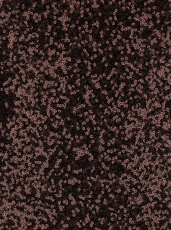 LEPLAIN Brown Dress With Round Neck And All-over Applied Sequins In Fabric For