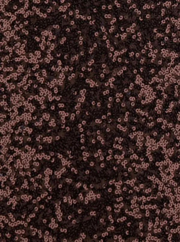 LEPLAIN Long Dress Plain With Straps And All-over Applied Sequins In Brown Fabric For