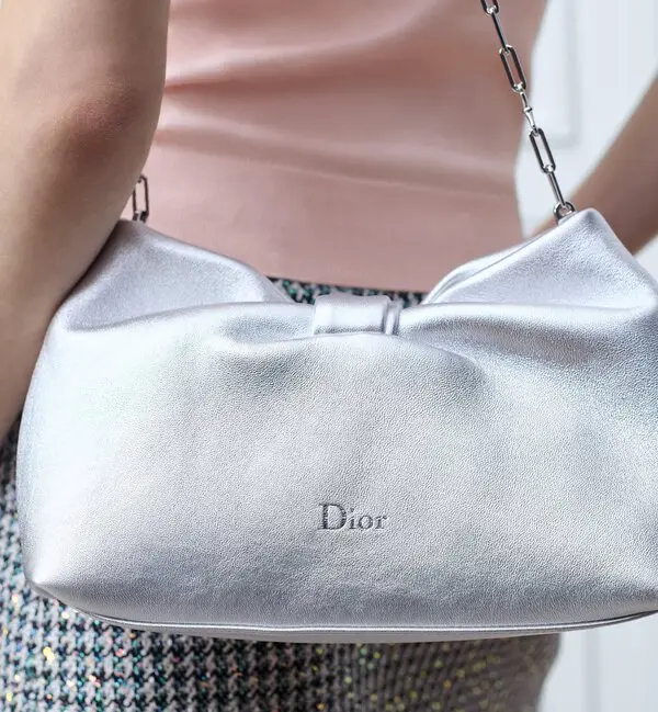 Dior Dioror Small Bow Bag - Silver
