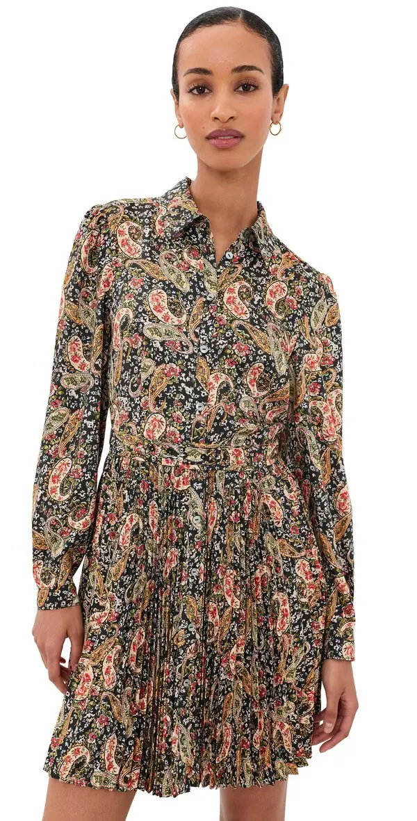 Cinq À Sept Rose Paisley Reynolds Dress - Black Multi