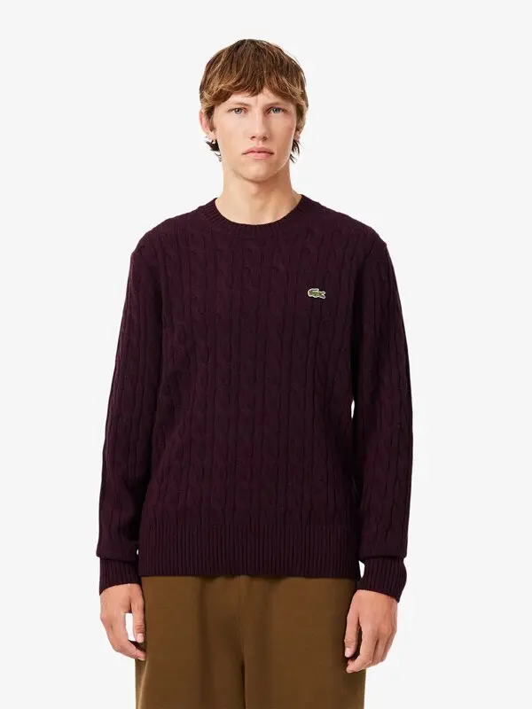 Lacoste Crew-neck Cable-knit Sweater In Carded Wool