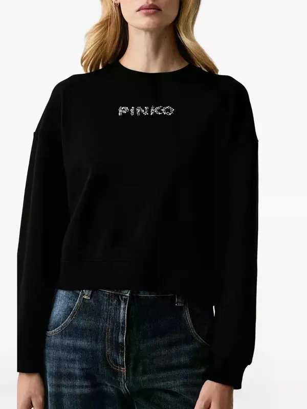 Pinko Embellished Logo-patch Sweater