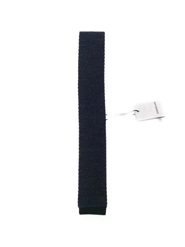 Corneliani Wool Tie - Blue