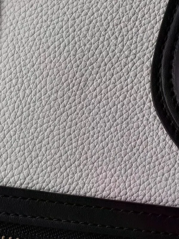 Celine Tricolor Luggage Bag Leather Micro Tote Bag