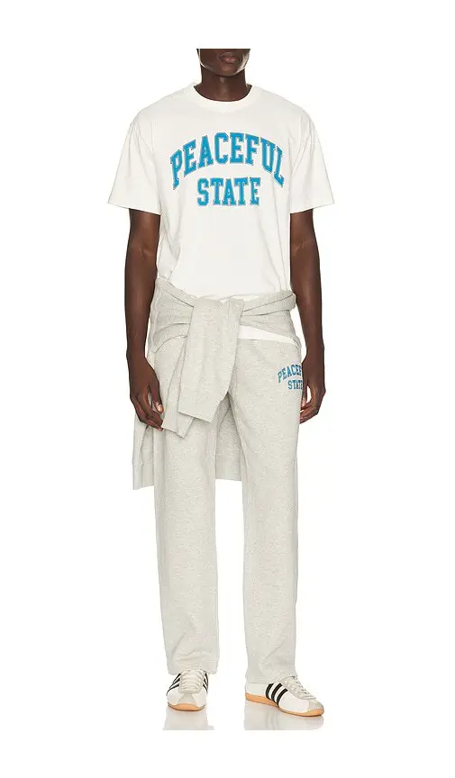 MUSEUM OF PEACE & QUIET Peaceful T-shirt