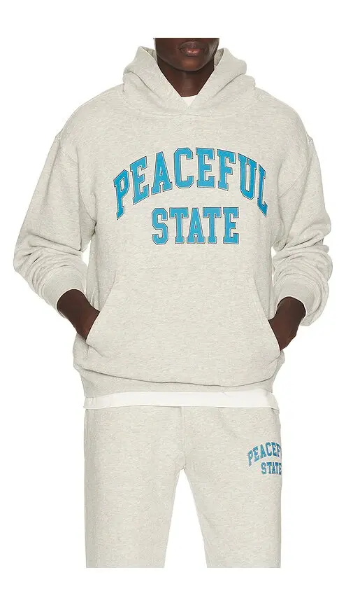 MUSEUM OF PEACE & QUIET Peaceful Hoodie In Grey