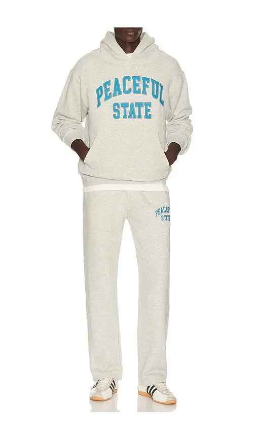 MUSEUM OF PEACE & QUIET Peaceful Hoodie In Grey