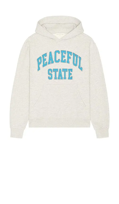 MUSEUM OF PEACE & QUIET Peaceful Hoodie In Grey