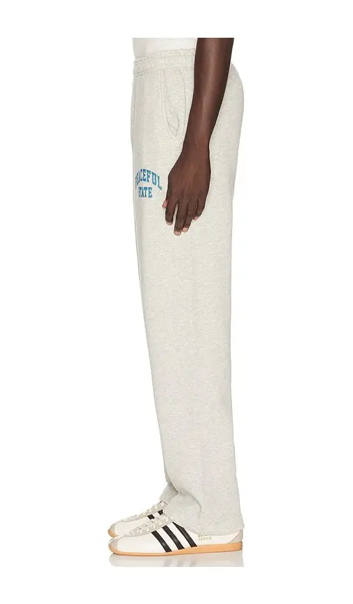 MUSEUM OF PEACE & QUIET Peaceful Sweatpants In Grey