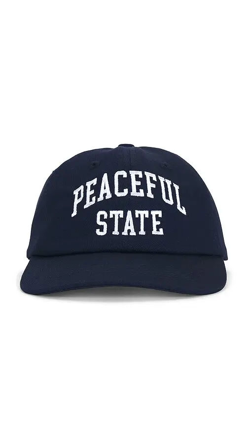 MUSEUM OF PEACE & QUIET Peaceful Dad Hat In Blue - Navy