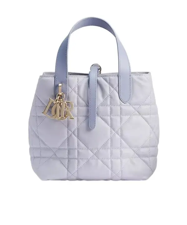 Dior Small Toujours Vertical Tote Bag