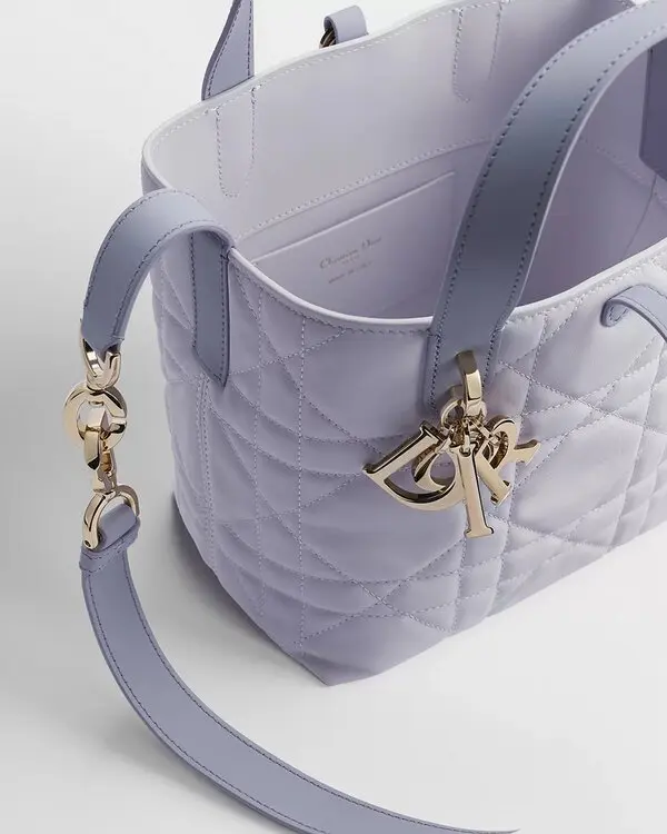 Dior Small Toujours Vertical Tote Bag