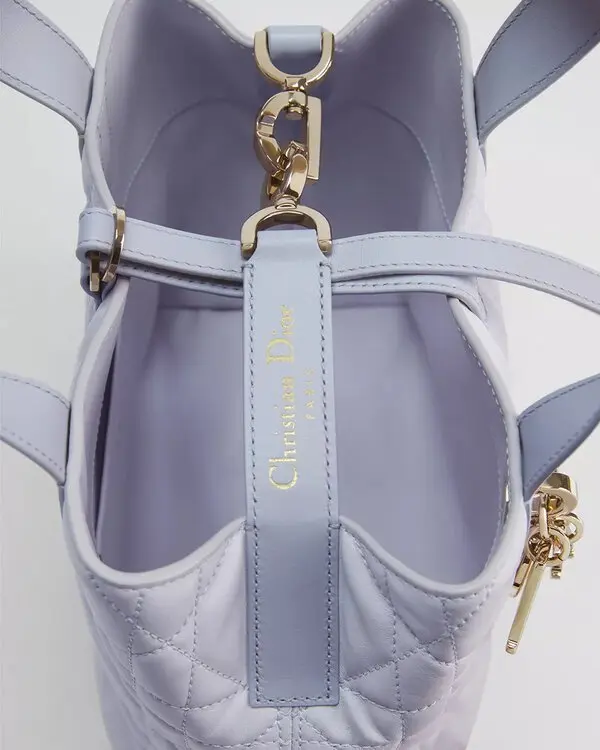 Dior Small Toujours Vertical Tote Bag