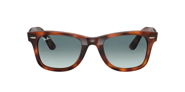 Ray-ban Sunglass Wayfarer Ease