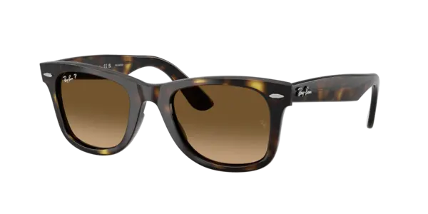 Ray-ban Sunglass Wayfarer Ease - Polarized Brown Gradient