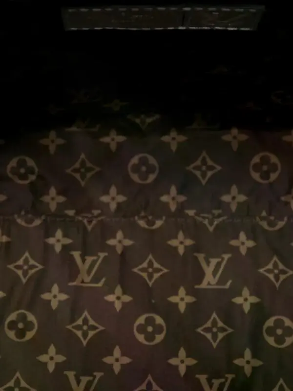 LOUIS VUITTON 2021-2026 Econyl Monogram Pillow Onthego Gm Satchel