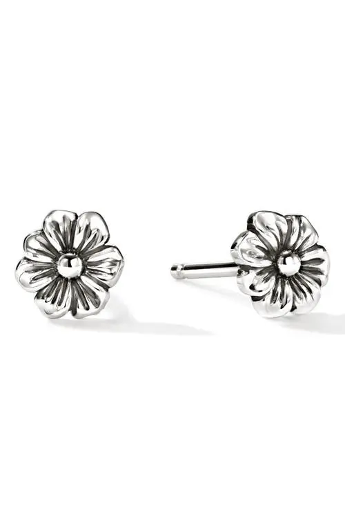 John Hardy B&f X Jh Wildflower Stud Earrings