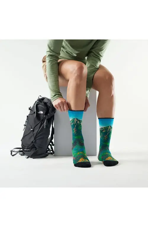 Smartwool Hike Targeted Cushion Mountain Lake Crew Socks