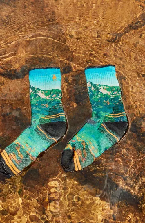 Smartwool Hike Targeted Cushion Mountain Lake Crew Socks