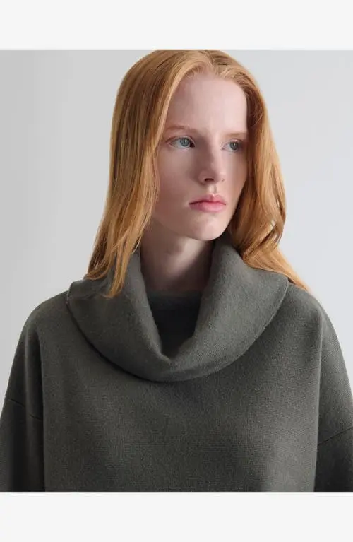 IRO PARIS The Lovefool Sweater - Turtle Shell