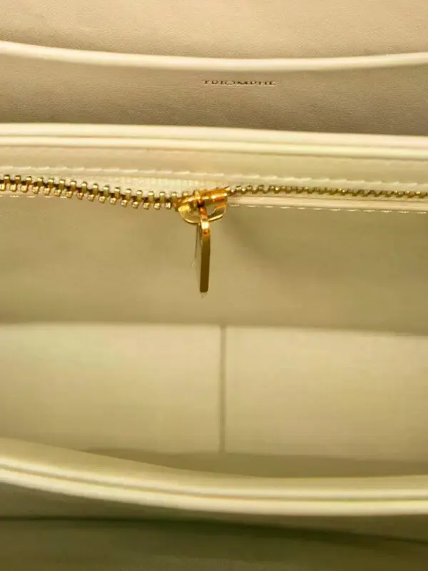 Celine 2024 Classique Shiny Calfskin Triomphe Crossbody Bag