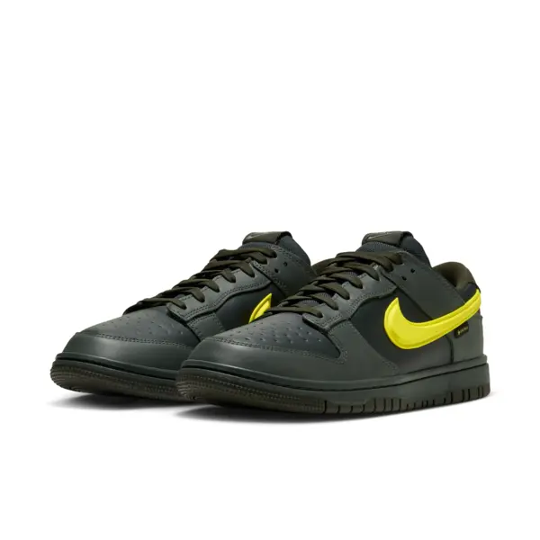 Nike Dunk Low Gore-tex Shoes - Green
